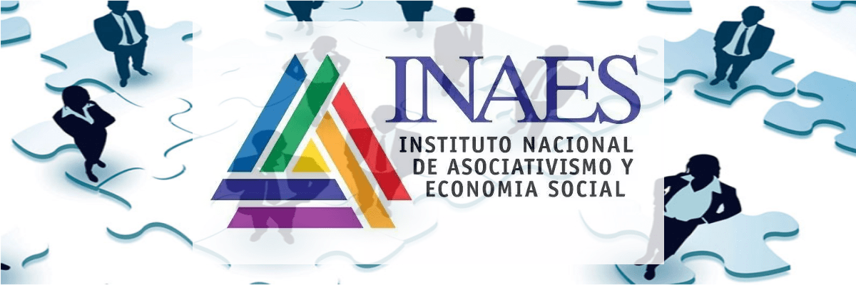 Resolución 419/19 INAES Cooperativas y Mutuales. Presentación de ...